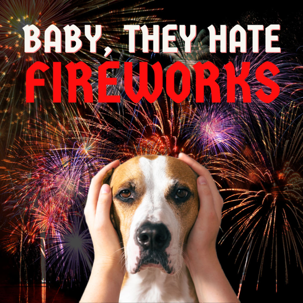 Pet afraid of fireworks? – Wagabonz